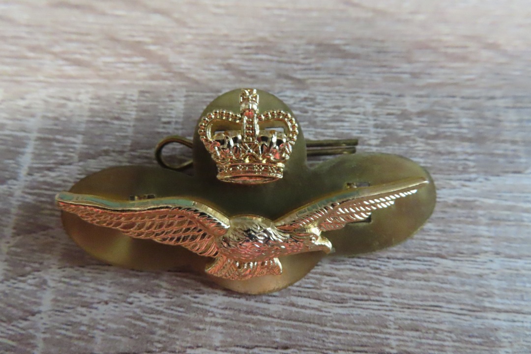 ROYAL AIR FORCE OFFICERS' RAF FIELD SERVICE CAP BADGE, Hobbies & Toys ...