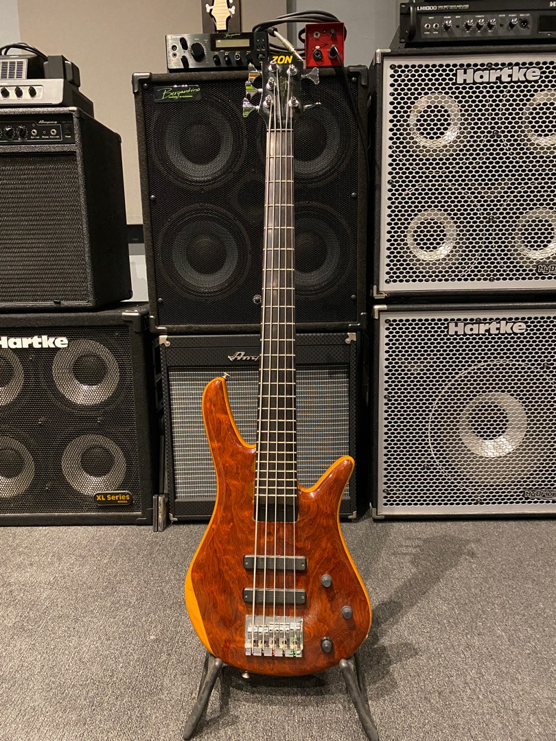 Zon Sonus Special 5, Hobbies & Toys, Musical Instruments on Carousell