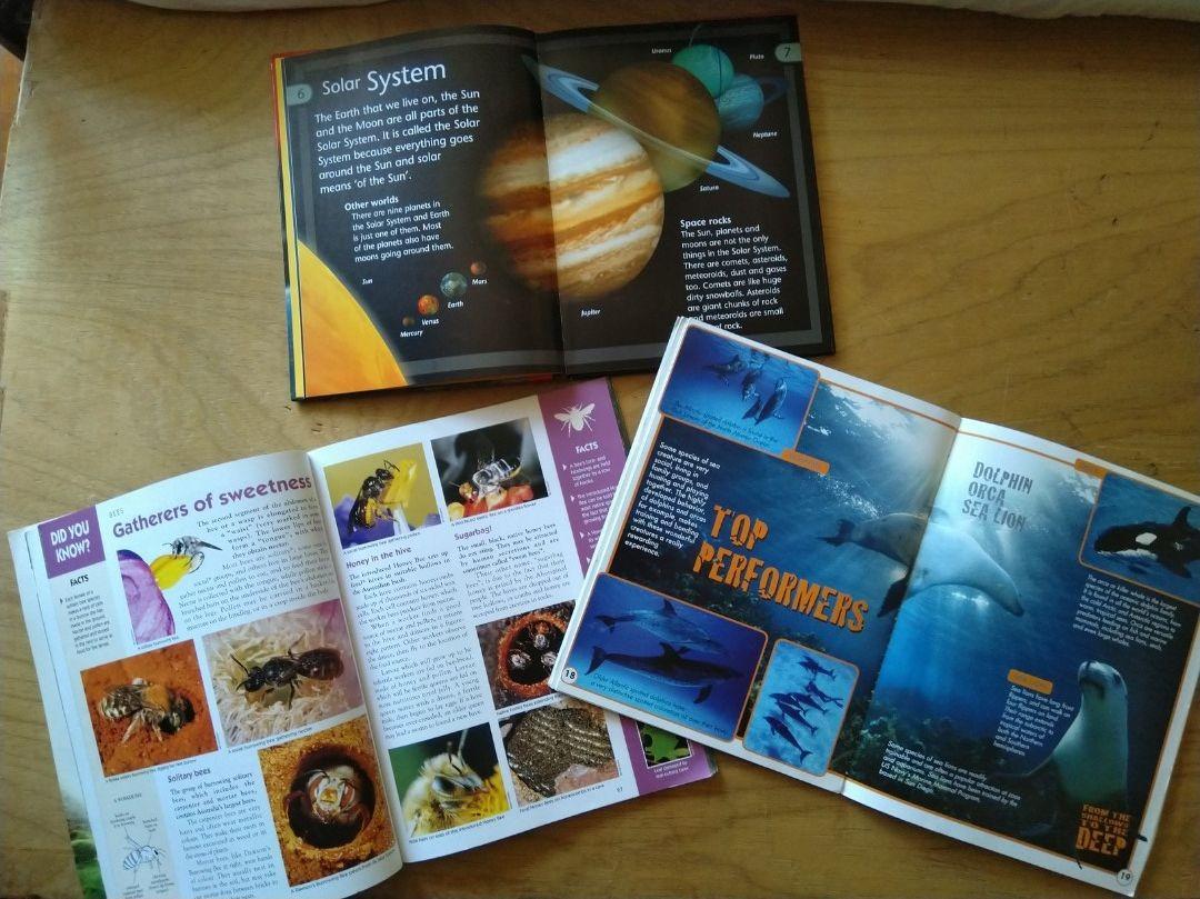 Children Big Books: Solar System, 3-D Undersea, Amazing Facts, 興趣及遊戲 ...