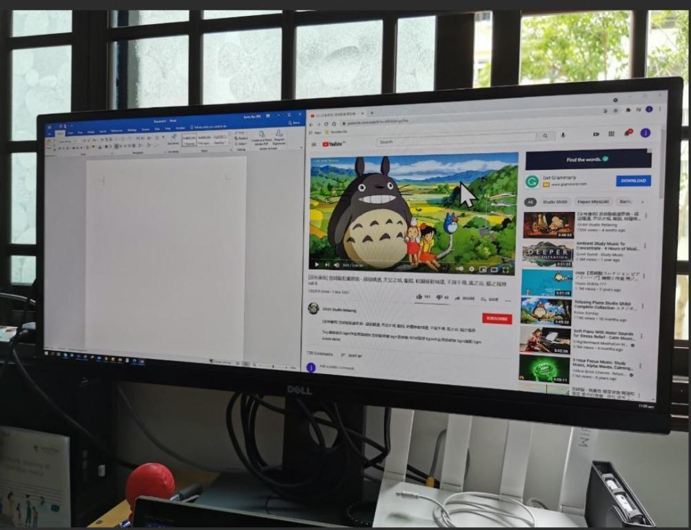 Dell UltraSharp U2913WMT 29-Inch Ultra Widescreen LED-Lit Monitor ...