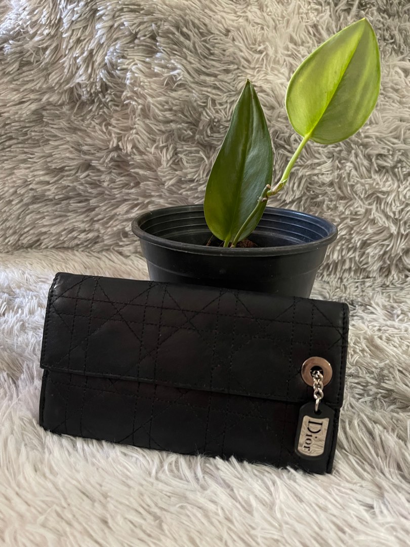 Dior Wallet, Women's Fashion, Bags & Wallets, Wallets & Card holders on ...