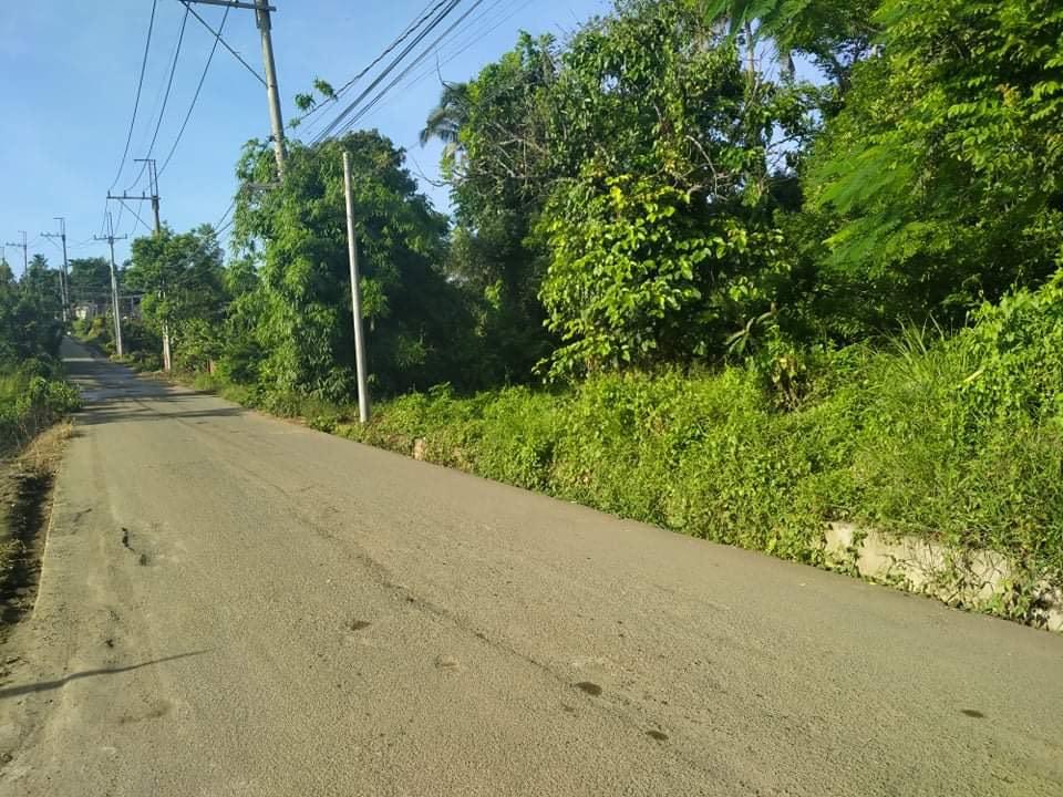 Farm lot in Pulong Bunga Silang Cavite, Property, For Sale, Lot on ...