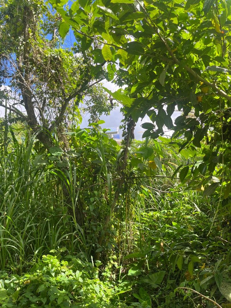 Farm lot in Pulong Bunga Silang Cavite, Property, For Sale, Lot on ...