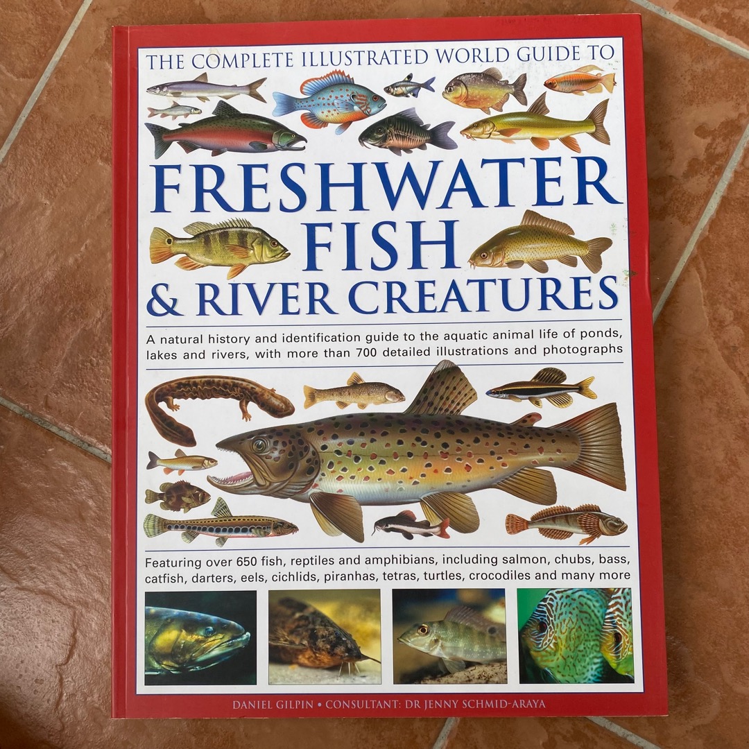 Freshwater Fish & River Creatures, Hobbies & Toys, Books & Magazines ...