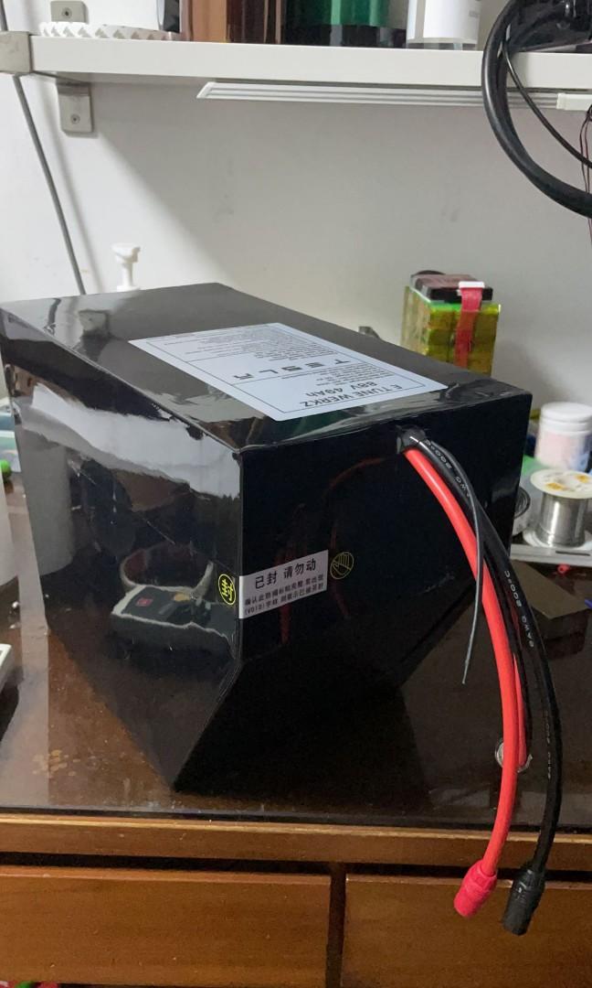 LF BATTERY (READ DESCRIPTION), Sports Equipment, PMDs, E-Scooters & E ...