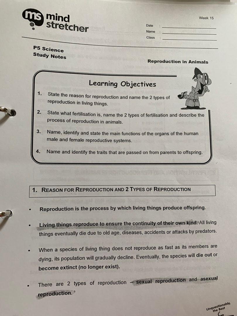 Mindstretcher Science P5 and P6 notes, Hobbies & Toys, Books ...