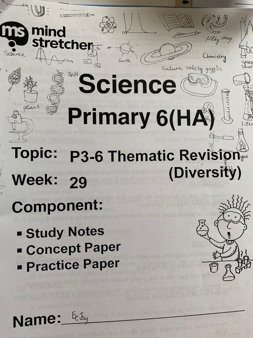 Mindstretcher Science P5 and P6 notes, Hobbies & Toys, Books ...