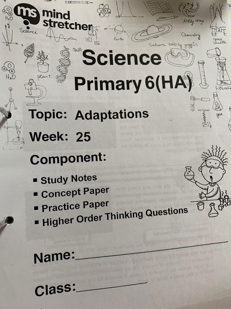 Mindstretcher Science P5 and P6 notes, Hobbies & Toys, Books ...
