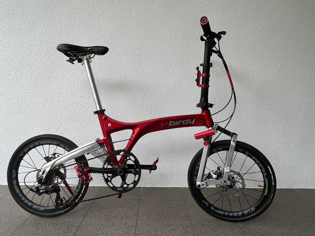 Modified R20 Birdy, Sports Equipment, Bicycles & Parts, Bicycles on ...