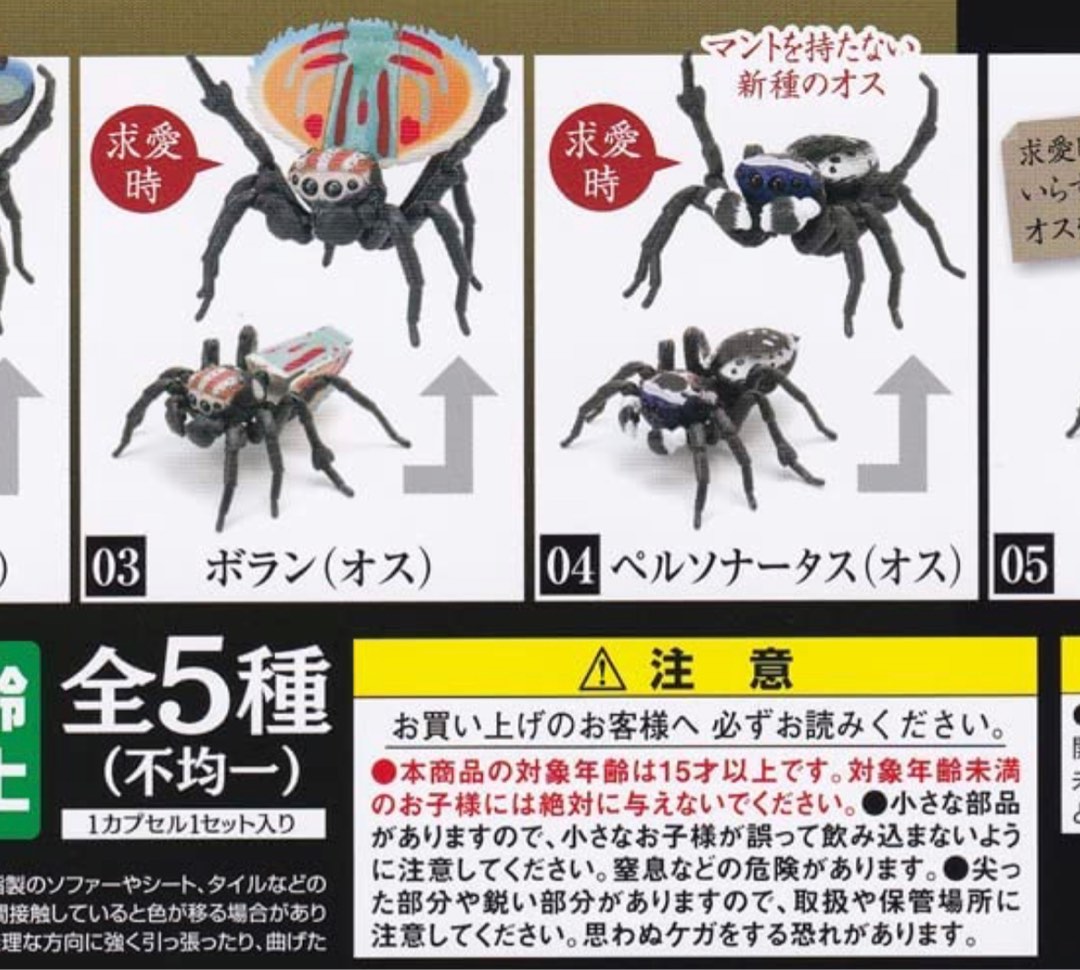 03 & 04 可換01/02 孔雀蜘蛛 figure 扭蛋 生物大圖鑑 全長10cm Spider, 興趣及遊戲, 玩具 & 遊戲類 ...
