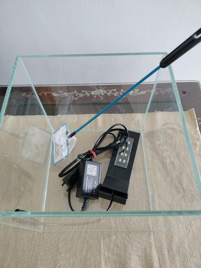 2 gallon fish tank, Pet Supplies, Homes & Other Pet Accessories on ...