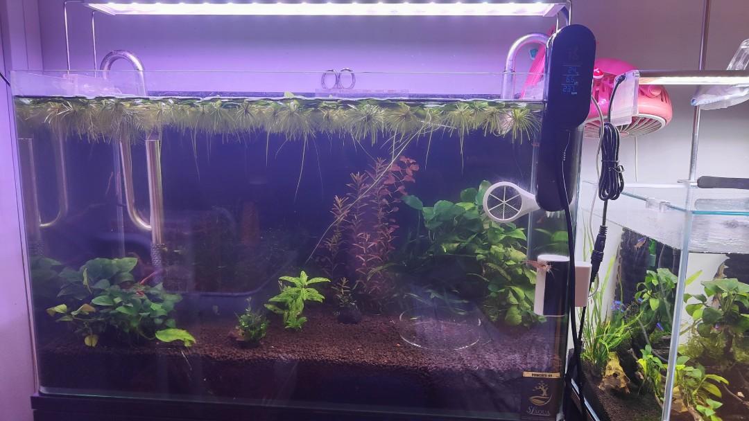 *FOC DELIVERY*2ft fish stand with cabinet, Pet Supplies, Homes & Other ...