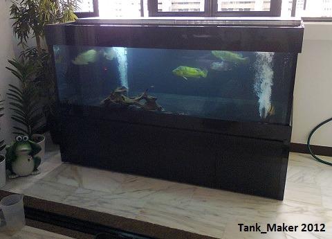 6ft Fish Tank with Low Profile Cabinet (Plug & Play 6x2x2.5ft c/w ...
