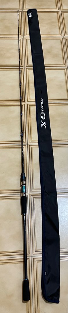 Daiwa saltiga GX SJ 65B 6, Sports Equipment, Fishing on Carousell