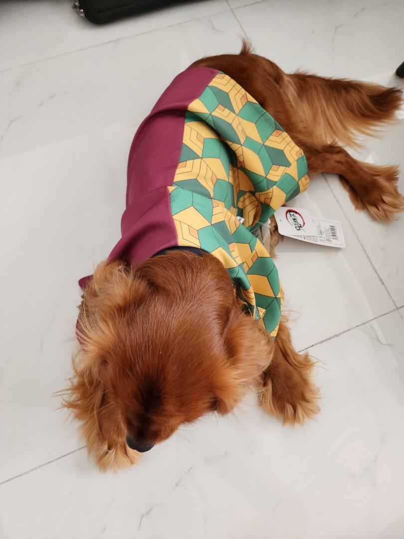 *dog*cat* Demon Slayer Kimetsu no Yaibaa pet costume, Pet Supplies ...