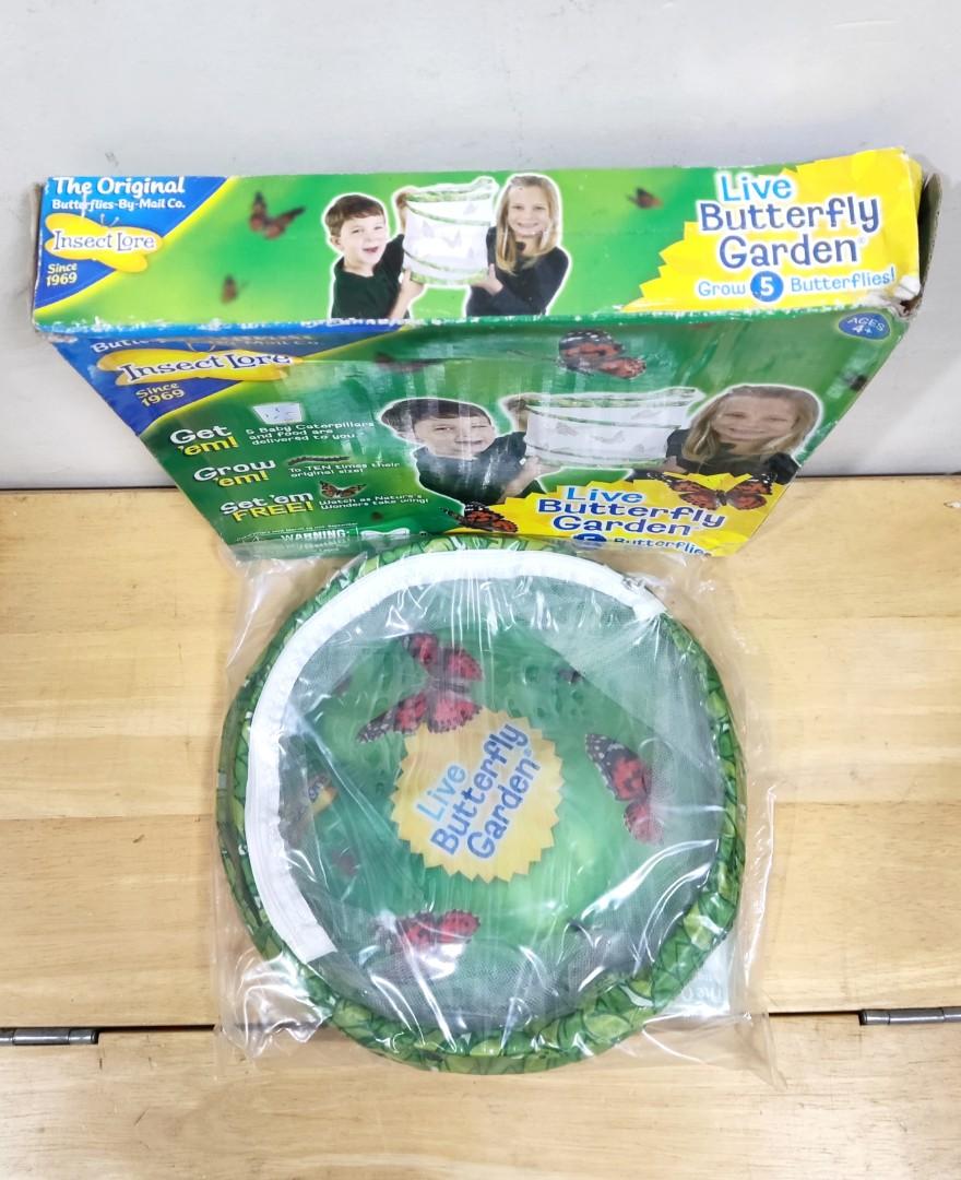 Live Butterfly Garden, Hobbies & Toys, Toys & Games on Carousell