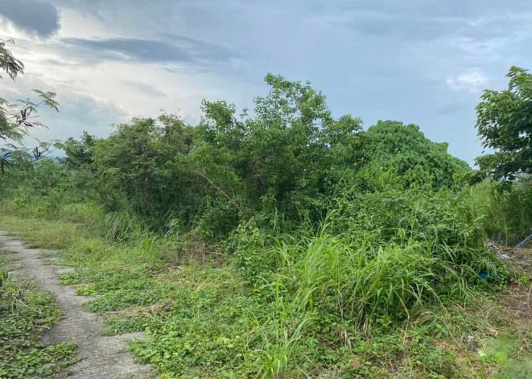 Lot for Sale Crystal East Teresa, Rizal, Property, For Sale, Lot on ...