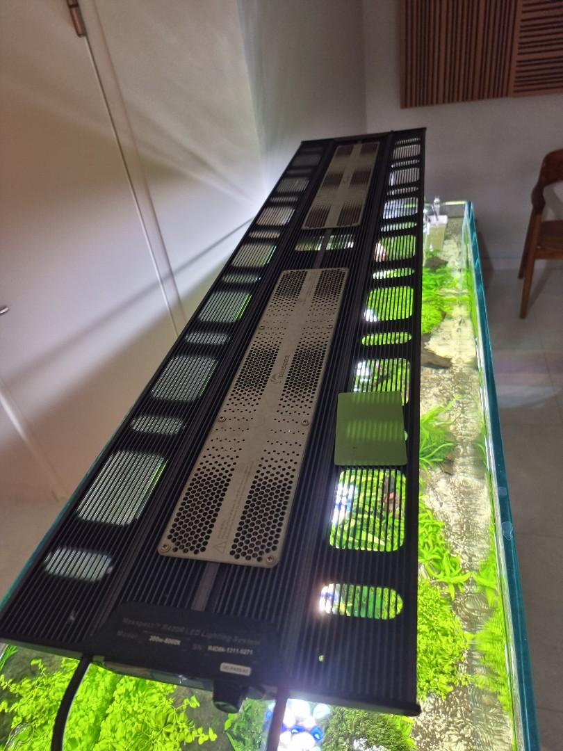 Maxspect R420R 300W, Pet Supplies, Homes & Other Pet Accessories on ...