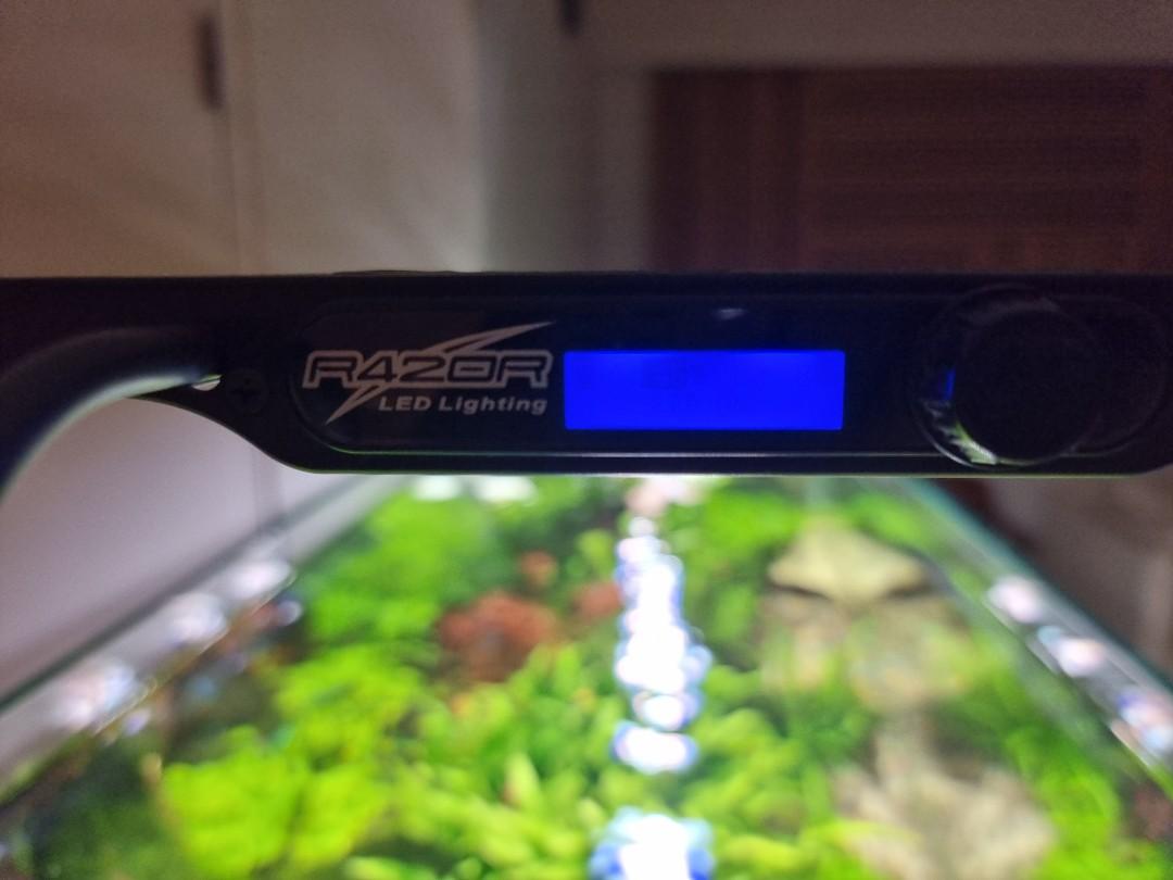 Maxspect R420R 300W, Pet Supplies, Homes & Other Pet Accessories on ...