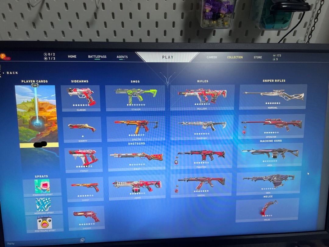 Riot Gun Buddy Valorant Account, Video Gaming, Gaming Accessories, In ...