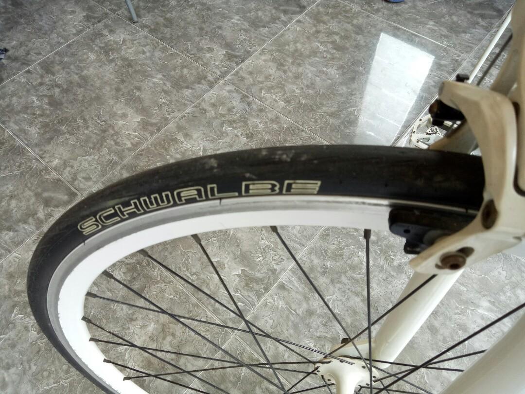 Sepeda Fixie Polygon, Olah Raga, Sepeda di Carousell