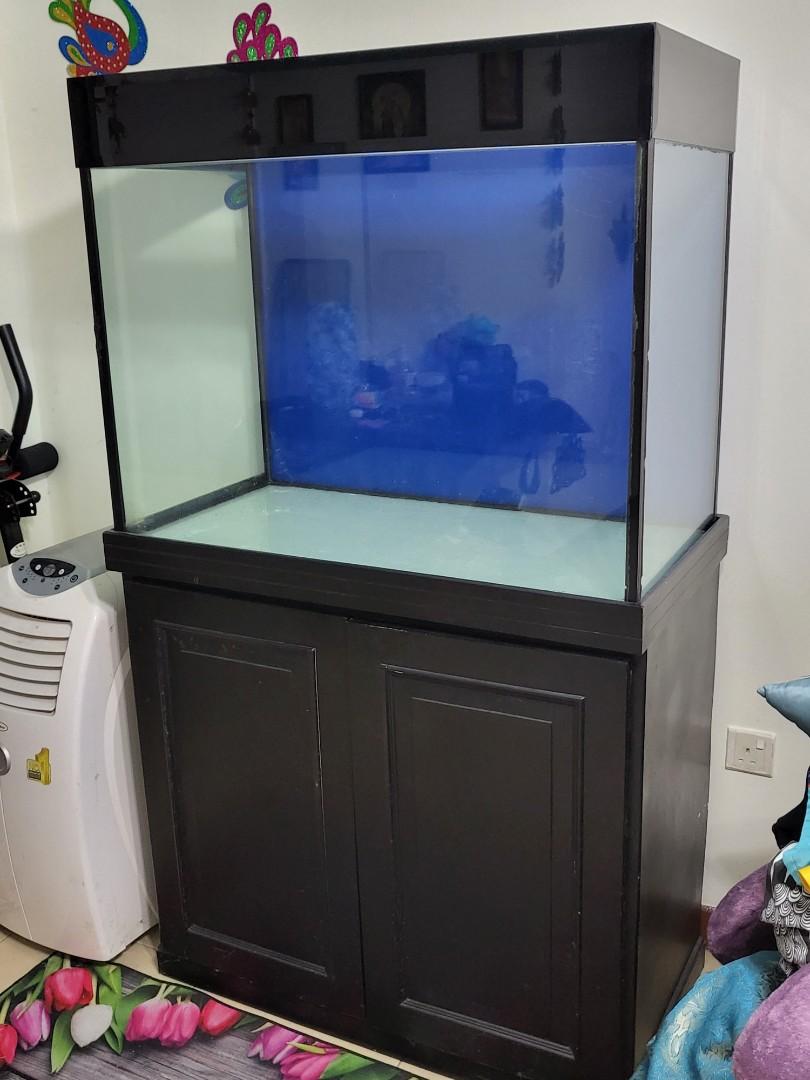 65 Gallon Aquarium Custom Glass Fish Tank Custom Aquariums