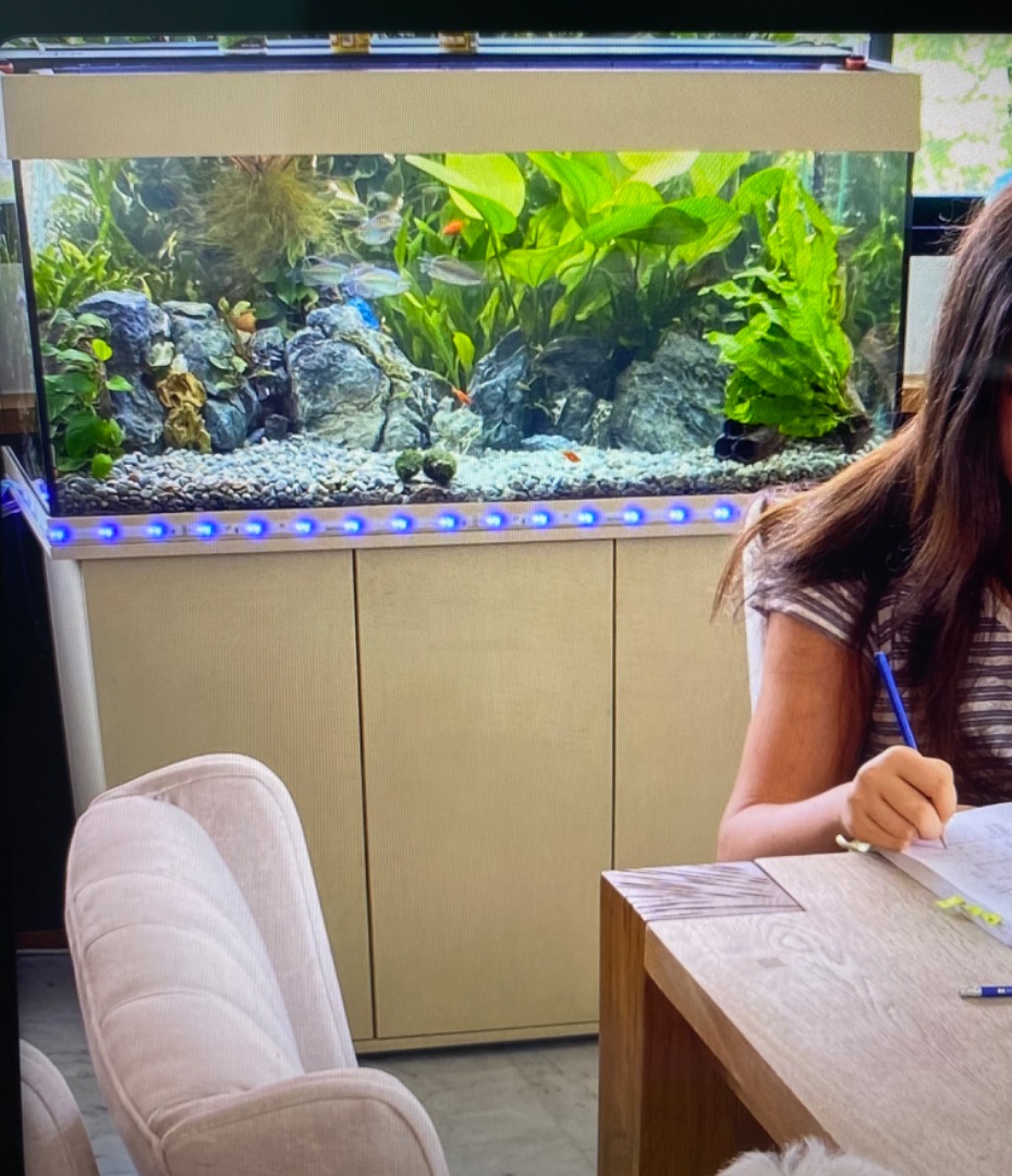 AQUARIUM 3ft. Jewel Rio 180, Pet Supplies, Homes & Other Pet ...