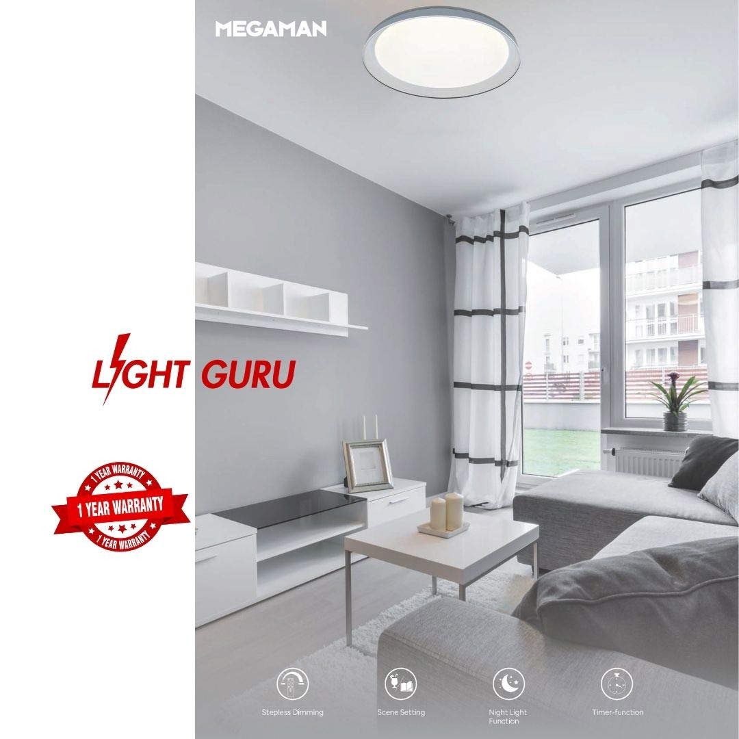 Dimmable Megaman Ceiling Light 30W, Furniture & Home Living, Lighting ...