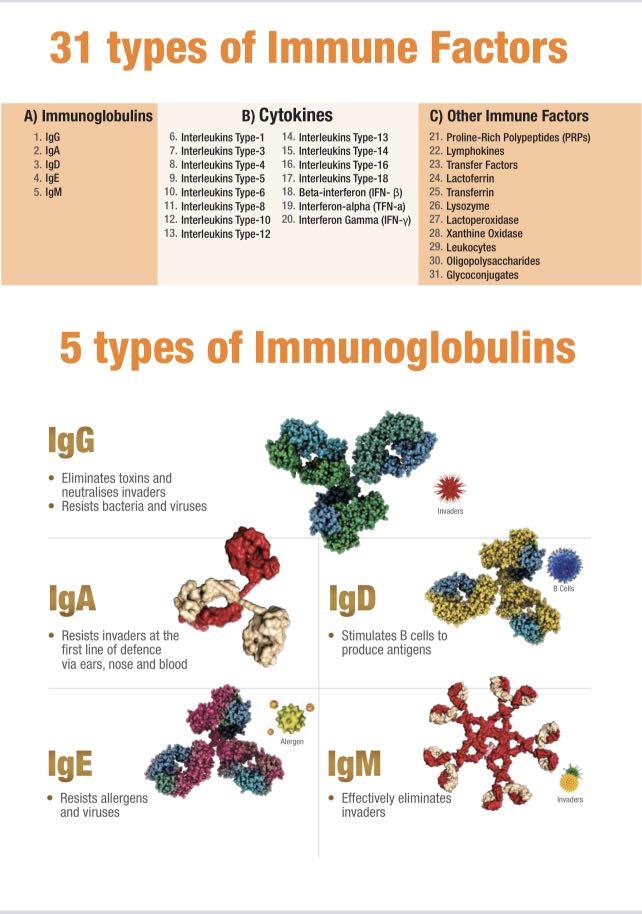 Elken IG6, Health & Nutrition, Health Supplements, Vitamins & Supplements on Carousell