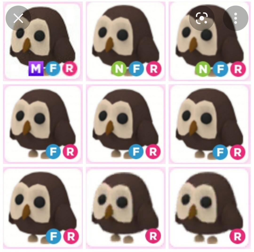 LF adopt me owl or shadow dragon, Video Gaming, Gaming Accessories, In ...