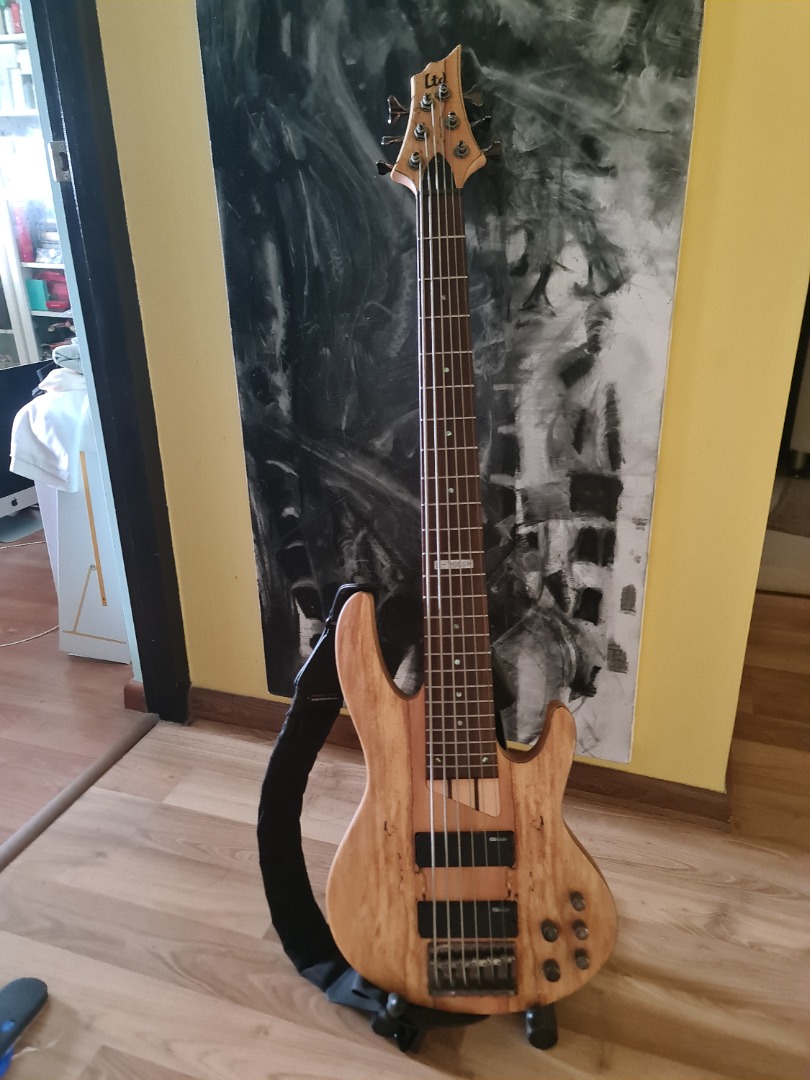 LTD B-206SM 6 String Bass Guitar, Spalted Maple, Hobbies & Toys, Music ...