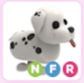 Neon Fly Ride (NFR) Dalmatian & Elf Shrew [ADOPT ME], Video Gaming ...