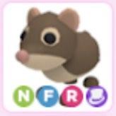 Neon Fly Ride (NFR) Dalmatian & Elf Shrew [ADOPT ME], Video Gaming ...