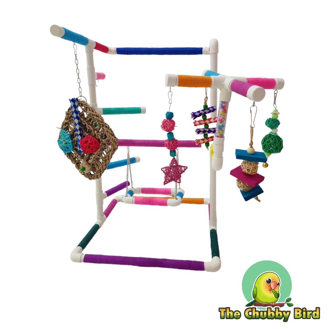 Parrot PVC Play Gym - Merry-Go-Around, Pet Supplies, Homes & Other Pet ...