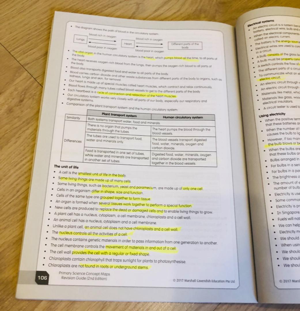 Primary Science Concept Maps Revision a guide (2nd Edition), Hobbies ...