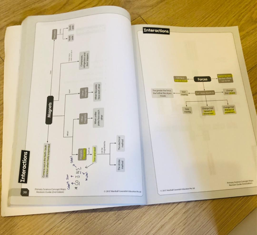 Primary Science Concept Maps Revision a guide (2nd Edition), Hobbies ...