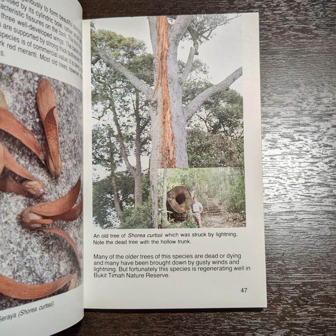 Rare 1985 Book: A Guide to the Bukit Timah Nature Reserve published by ...