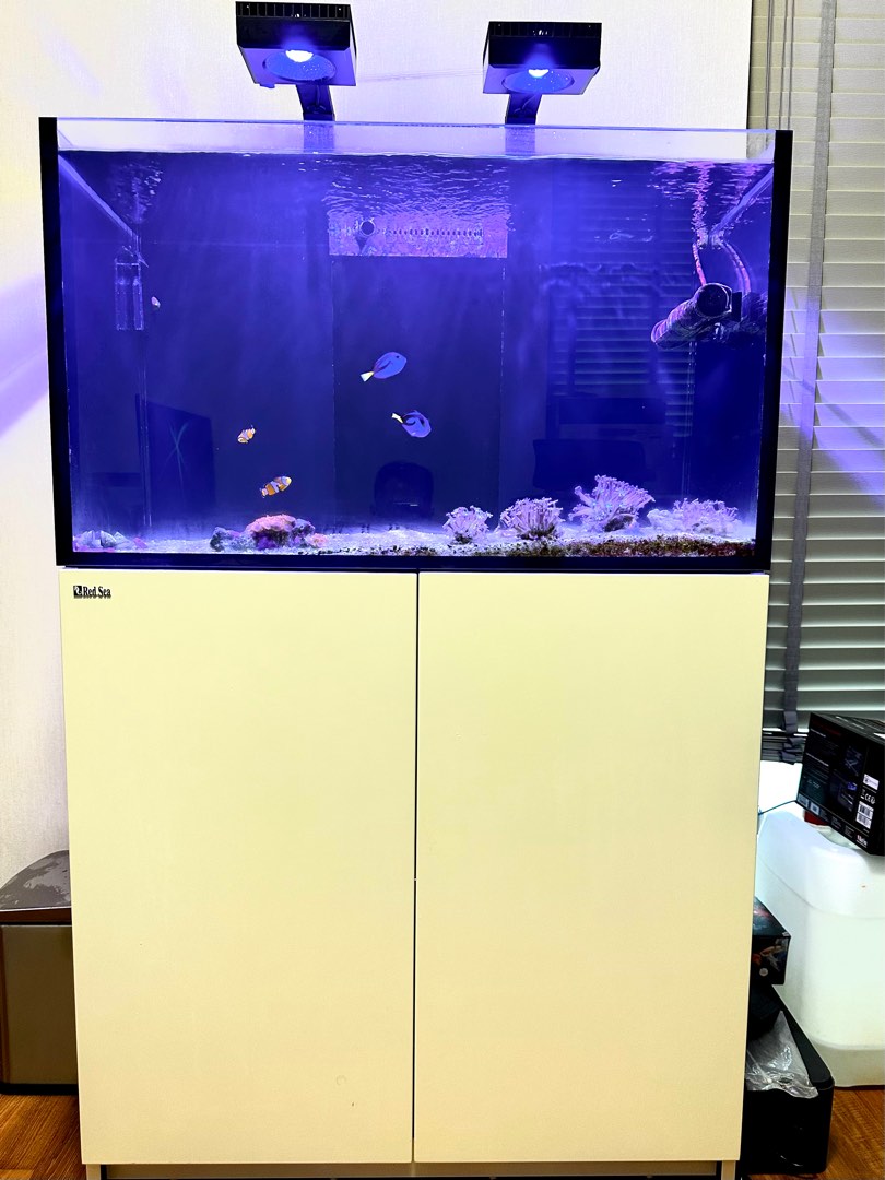 Red Sea REEFER 250, Pet Supplies, Homes & Other Pet Accessories on ...