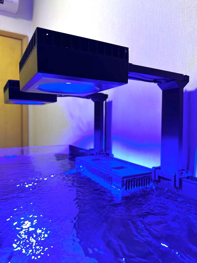 Red Sea ReefLED 90, Pet Supplies, Homes & Other Pet Accessories on Carousell