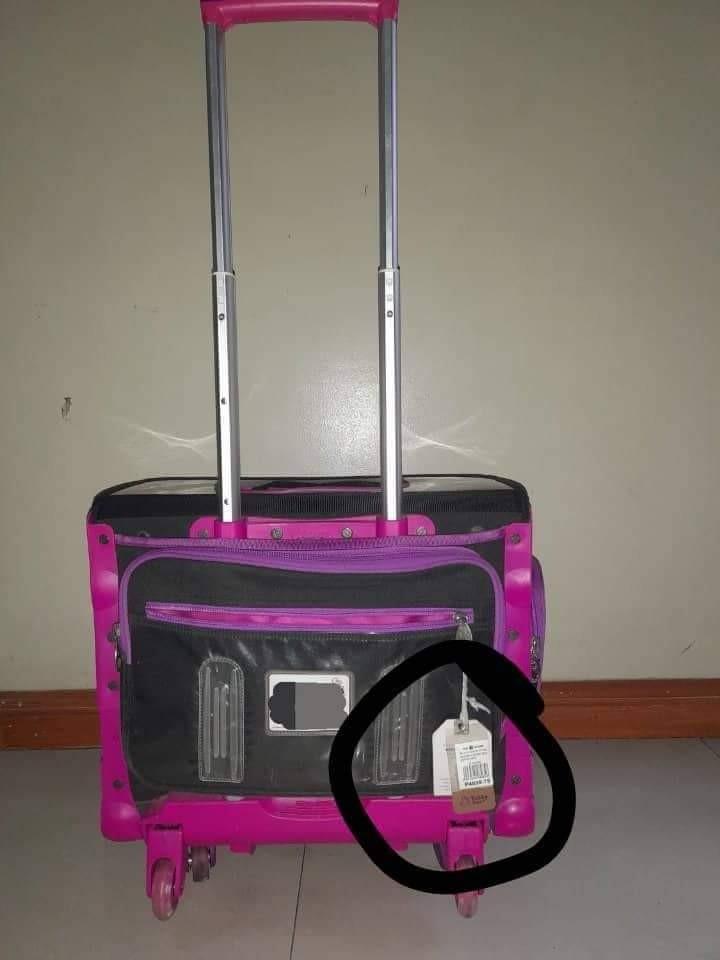 ROBY RABBIT SCHOOL BAG TROLLEY BAG, Babies & Kids, Babies & Kids ...