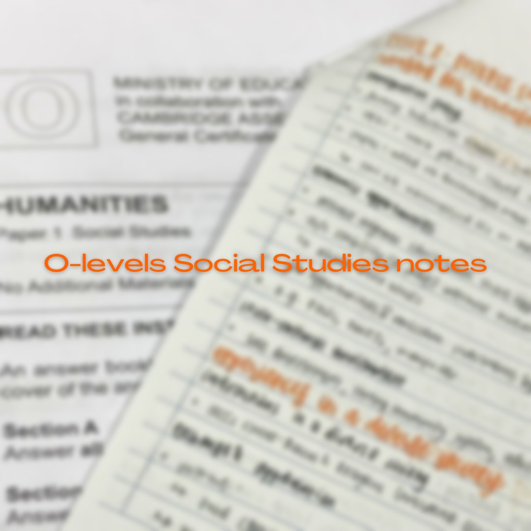 social studies content notes (for o levels/n levels), Hobbies & Toys ...