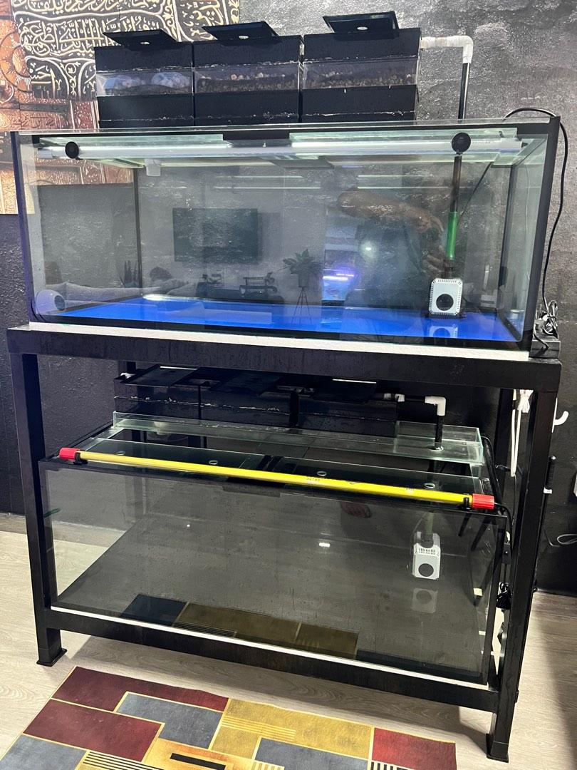 4ft fish tanks and stand, Pet Supplies, Homes & Other Pet Accessories ...
