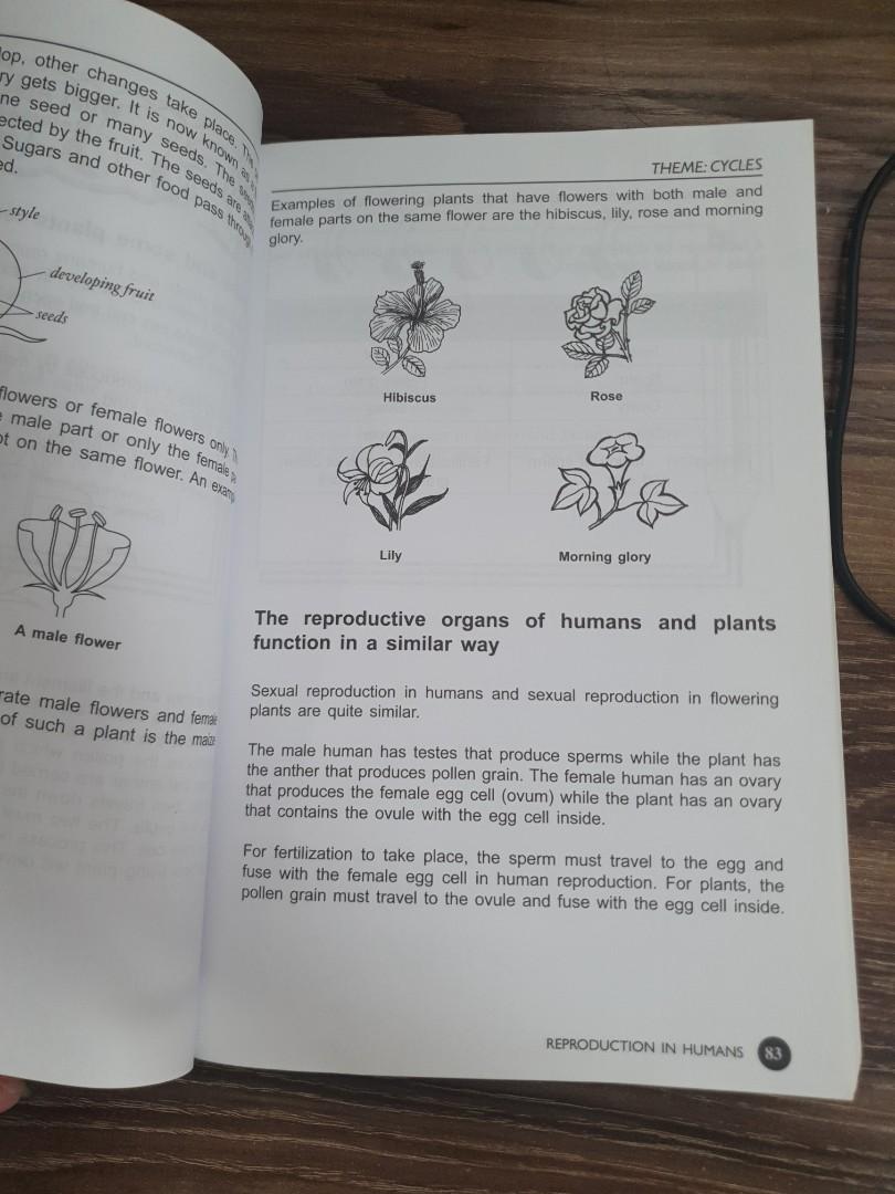 Casco Science P5 Questions & Answers, Hobbies & Toys, Books & Magazines ...