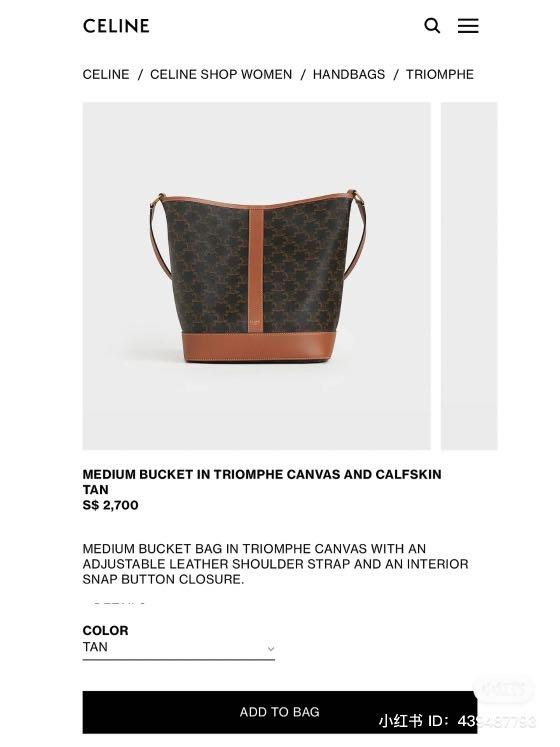 Celine medium Bucket Triomphe canvas, Luxury, Bags & Wallets on Carousell