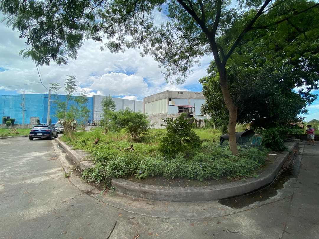 Industrial Lot For Sale in Rizal Technopark Taytay Rizal, Property, For ...
