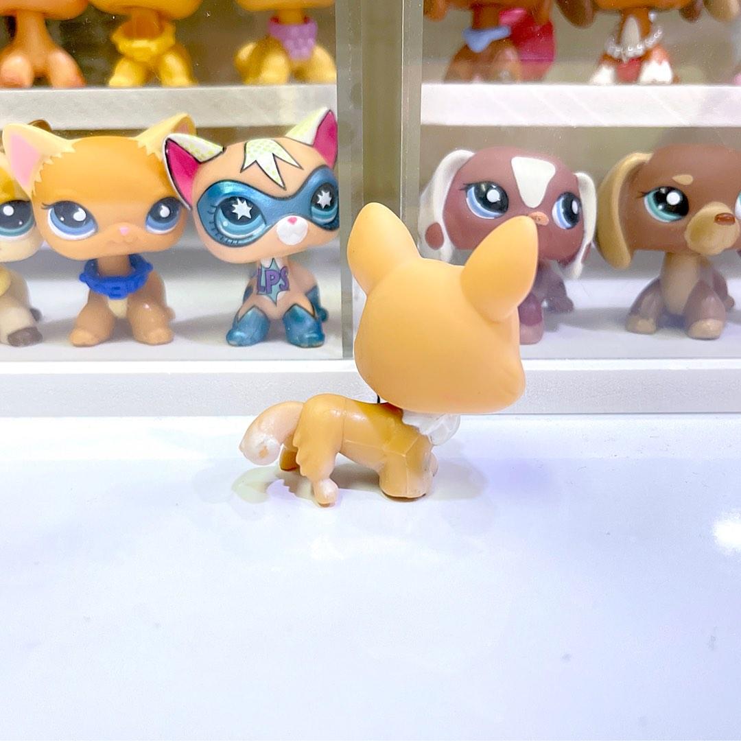 lps #183 corgi littlest pet shop, Hobbies & Toys, Toys & Games on Carousell