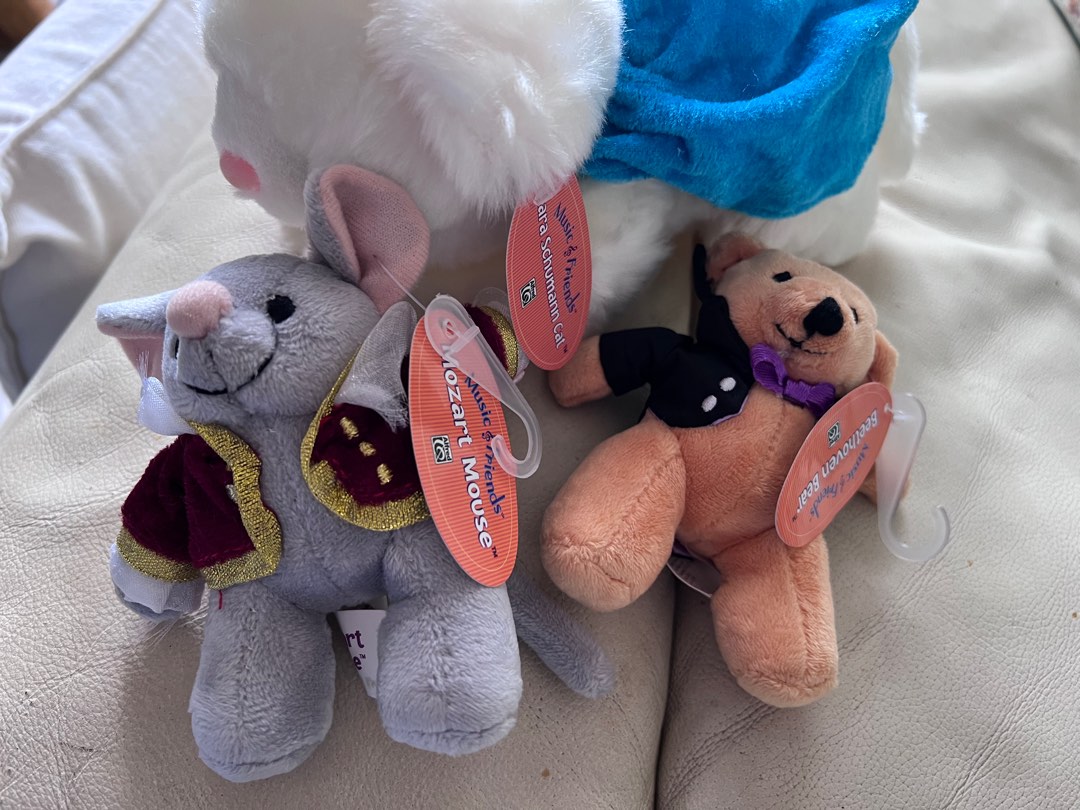Mozart mouse, Beethoven bear, Clara Schumann Cat, Hobbies & Toys, Music ...