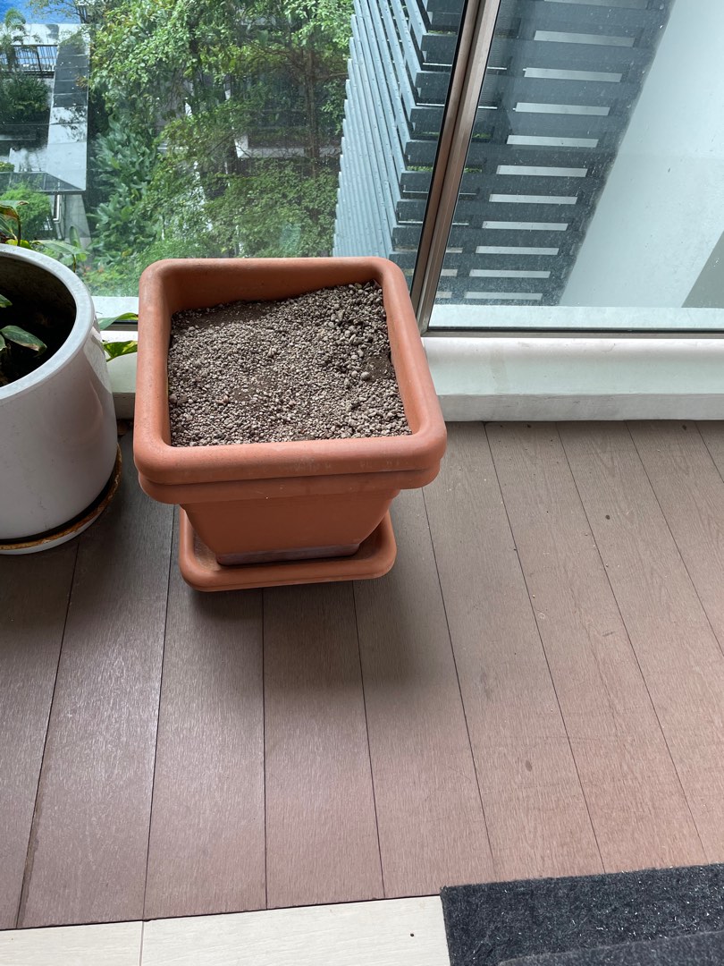 Plastic flower pots and bases (2) with soil, Furniture & Home Living ...