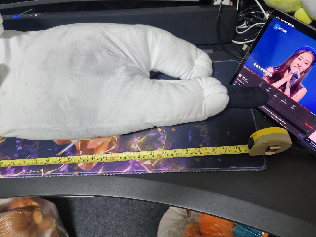 Toreba 80cm Cat Stoat Big Plush, Hobbies & Toys, Toys & Games on Carousell