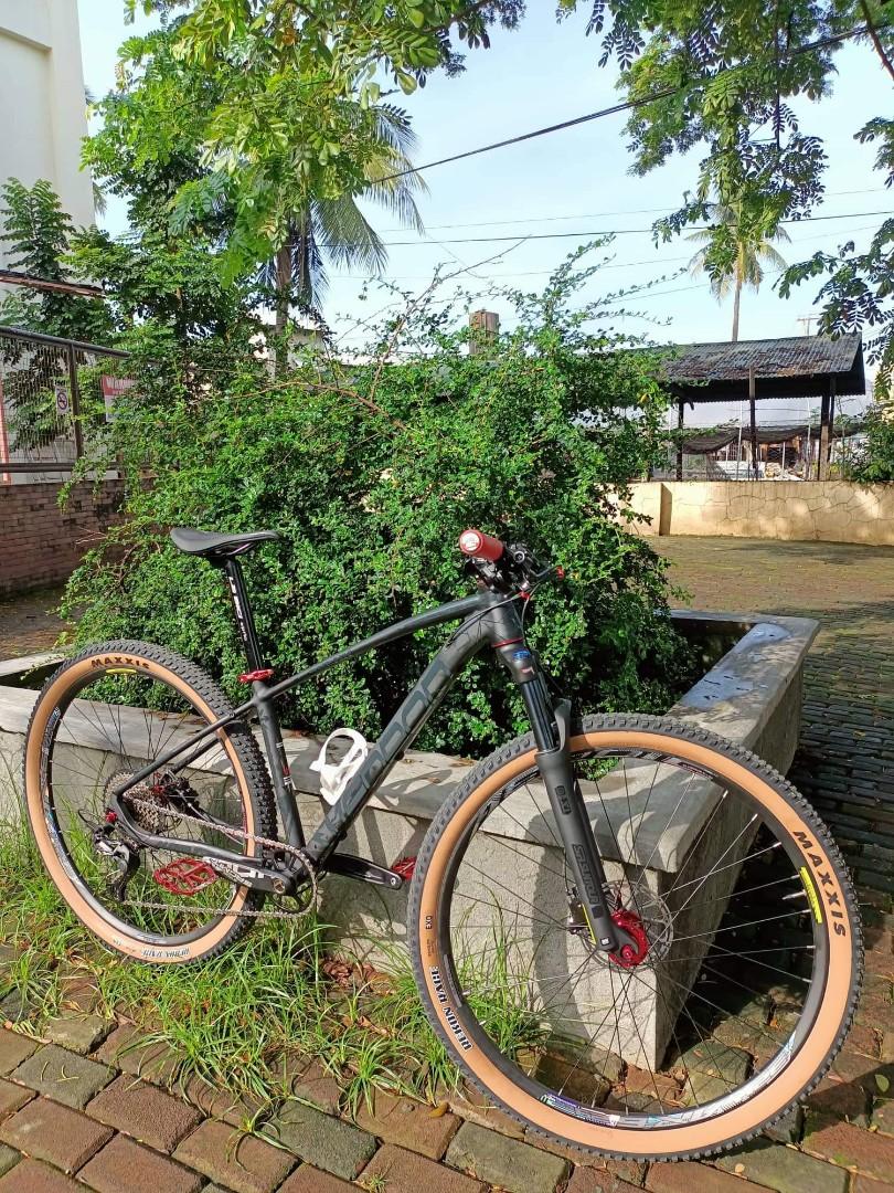 Weapon Spear 29er build bike, Sports Equipment, Bicycles & Parts ...